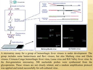 Dna microarray technique for detection and identification of VIRUS | PPT