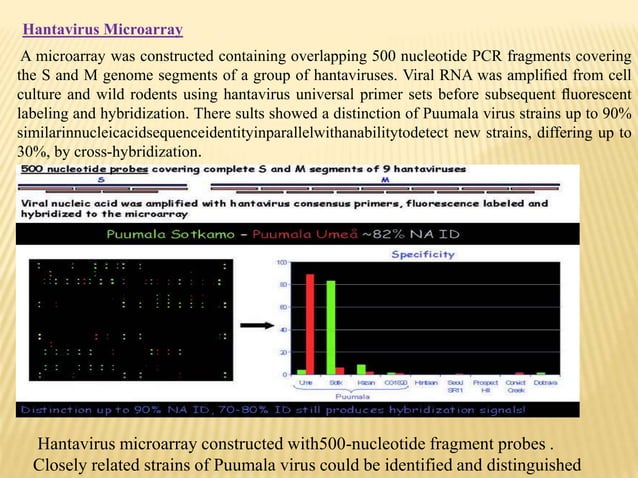 Dna microarray technique for detection and identification of VIRUS | PPT