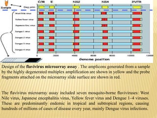 Dna microarray technique for detection and identification of VIRUS | PPT