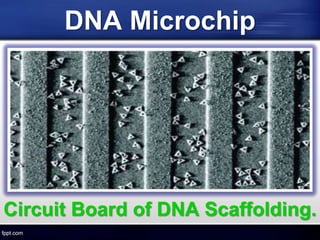 DNA Microchip | PPTX