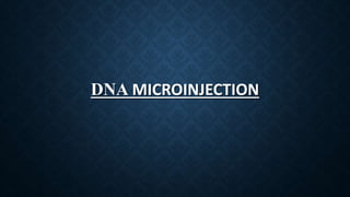 Dna microinjection | PPTX