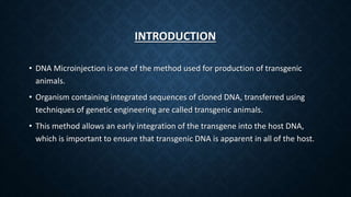 Dna microinjection | PPTX