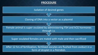 Dna microinjection | PPTX