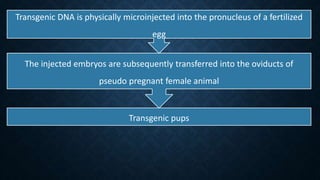 Dna microinjection | PPTX