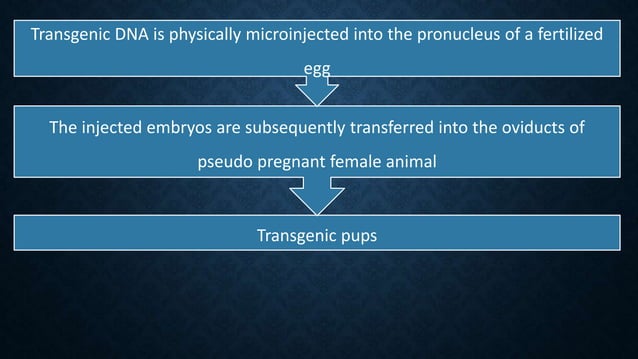 Dna microinjection | PPTX