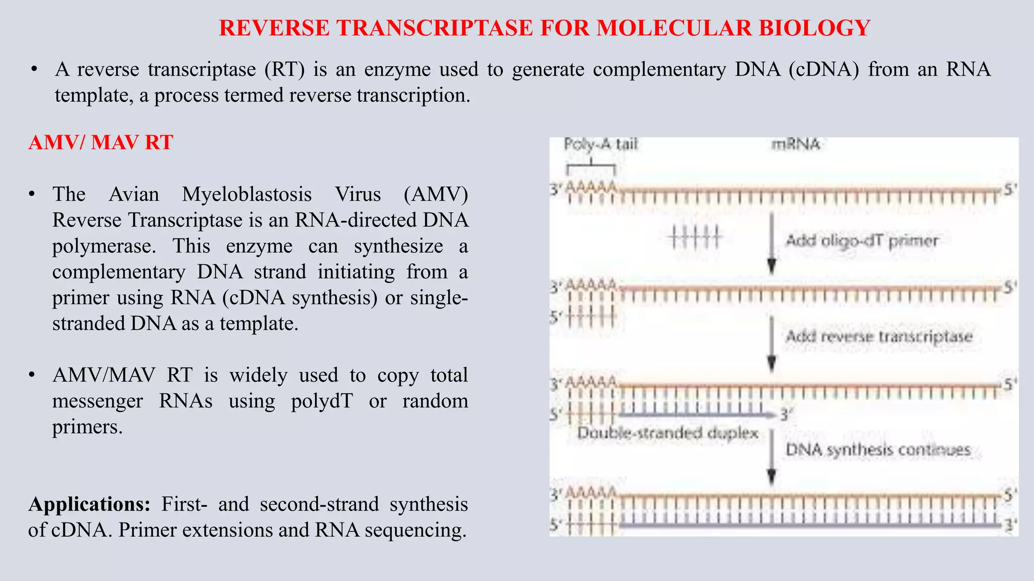ENZYMES IN RECOMBINANT DNA TECHNOLOGY | PPTX