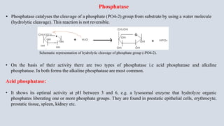 ENZYMES IN RECOMBINANT DNA TECHNOLOGY | PPTX