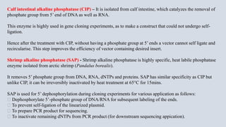 ENZYMES IN RECOMBINANT DNA TECHNOLOGY | PPTX