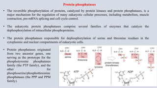 ENZYMES IN RECOMBINANT DNA TECHNOLOGY | PPTX
