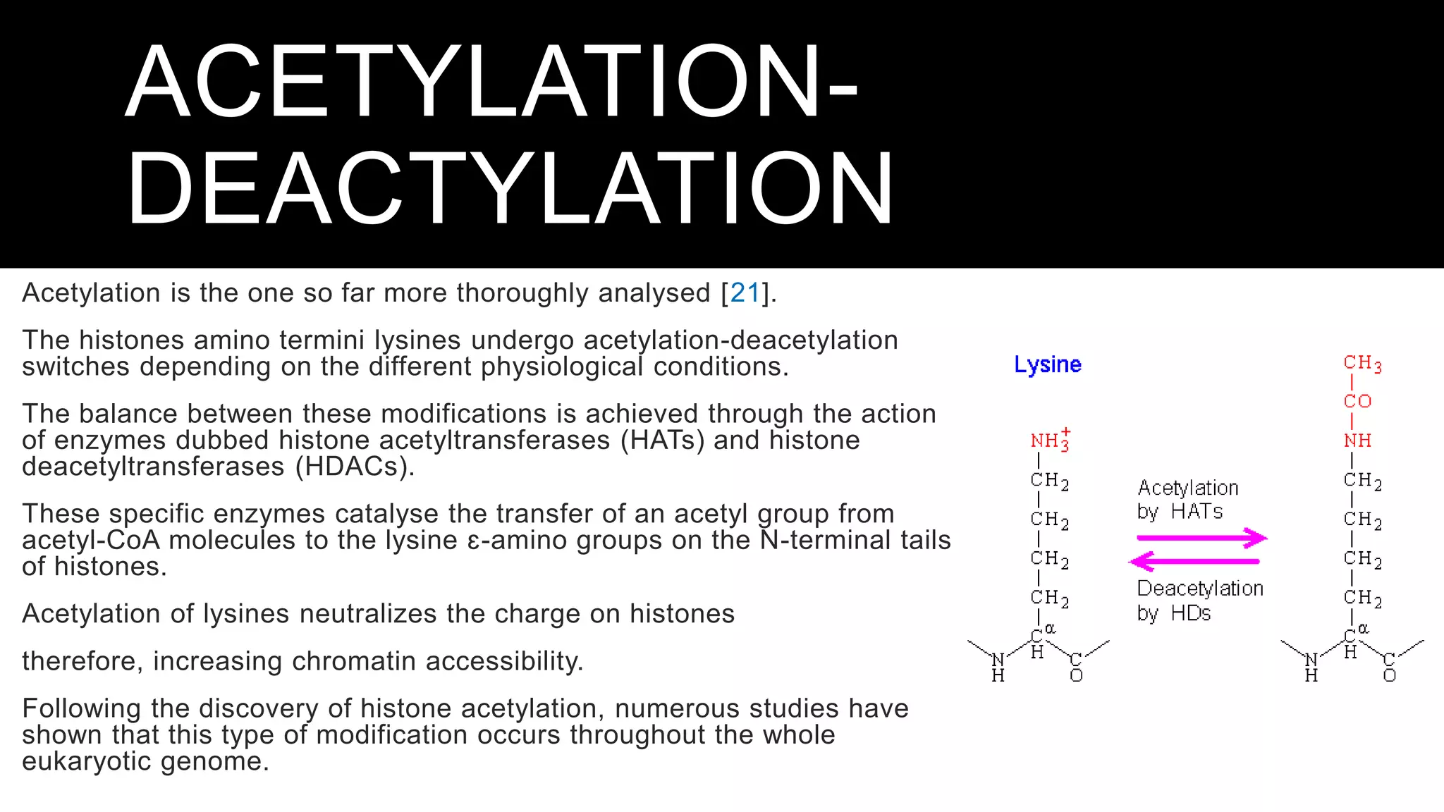 Dna modifications | PPTX