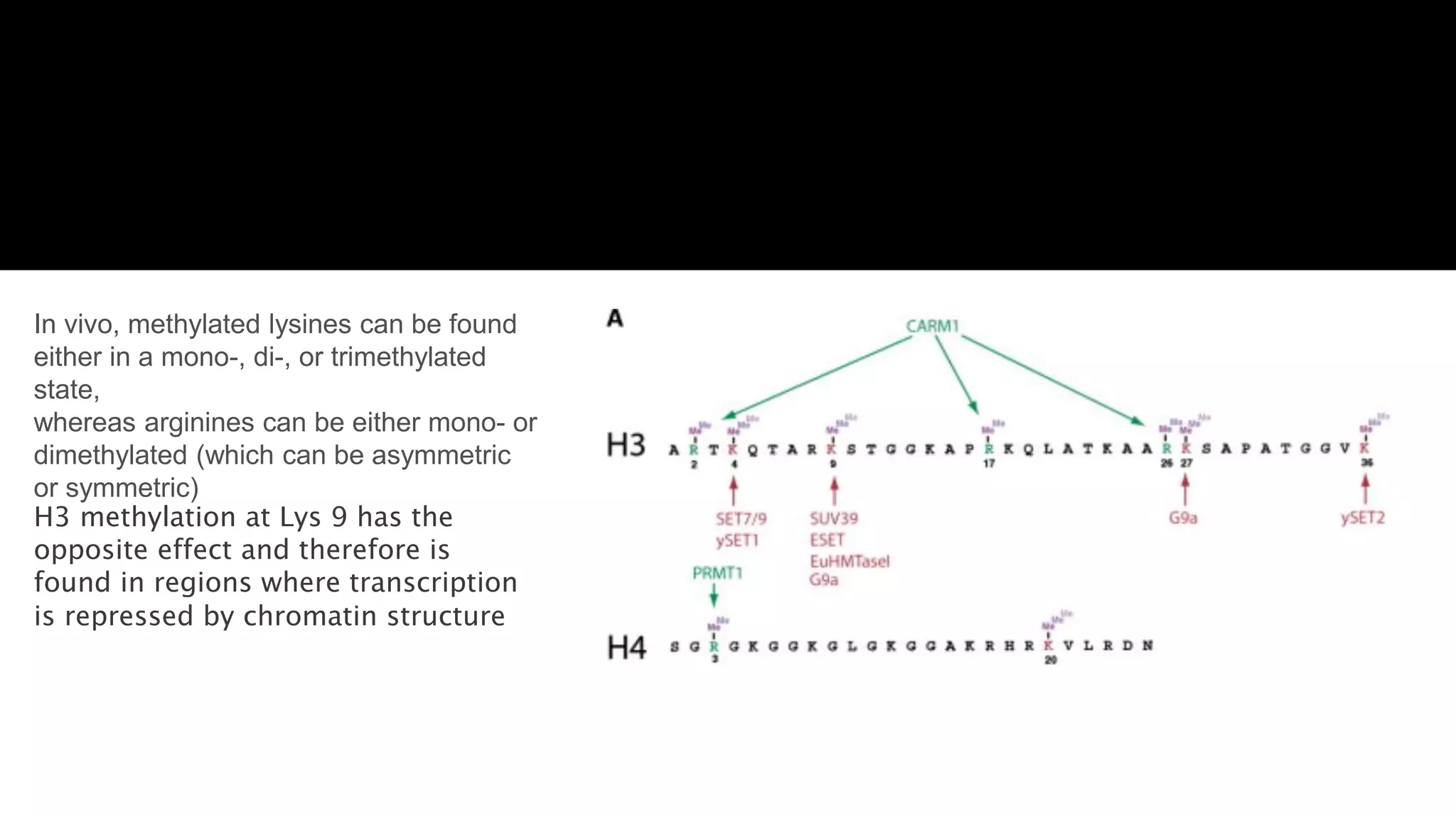 Dna modifications | PPTX
