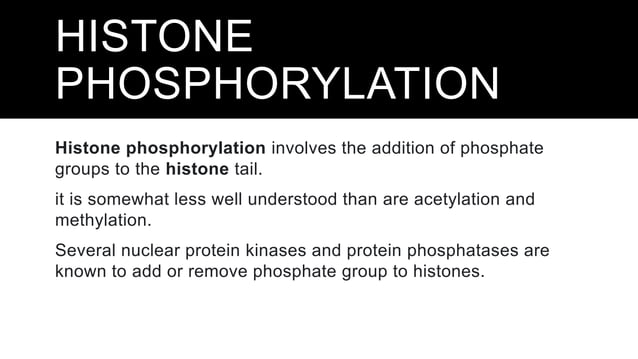 Dna modifications | PPTX