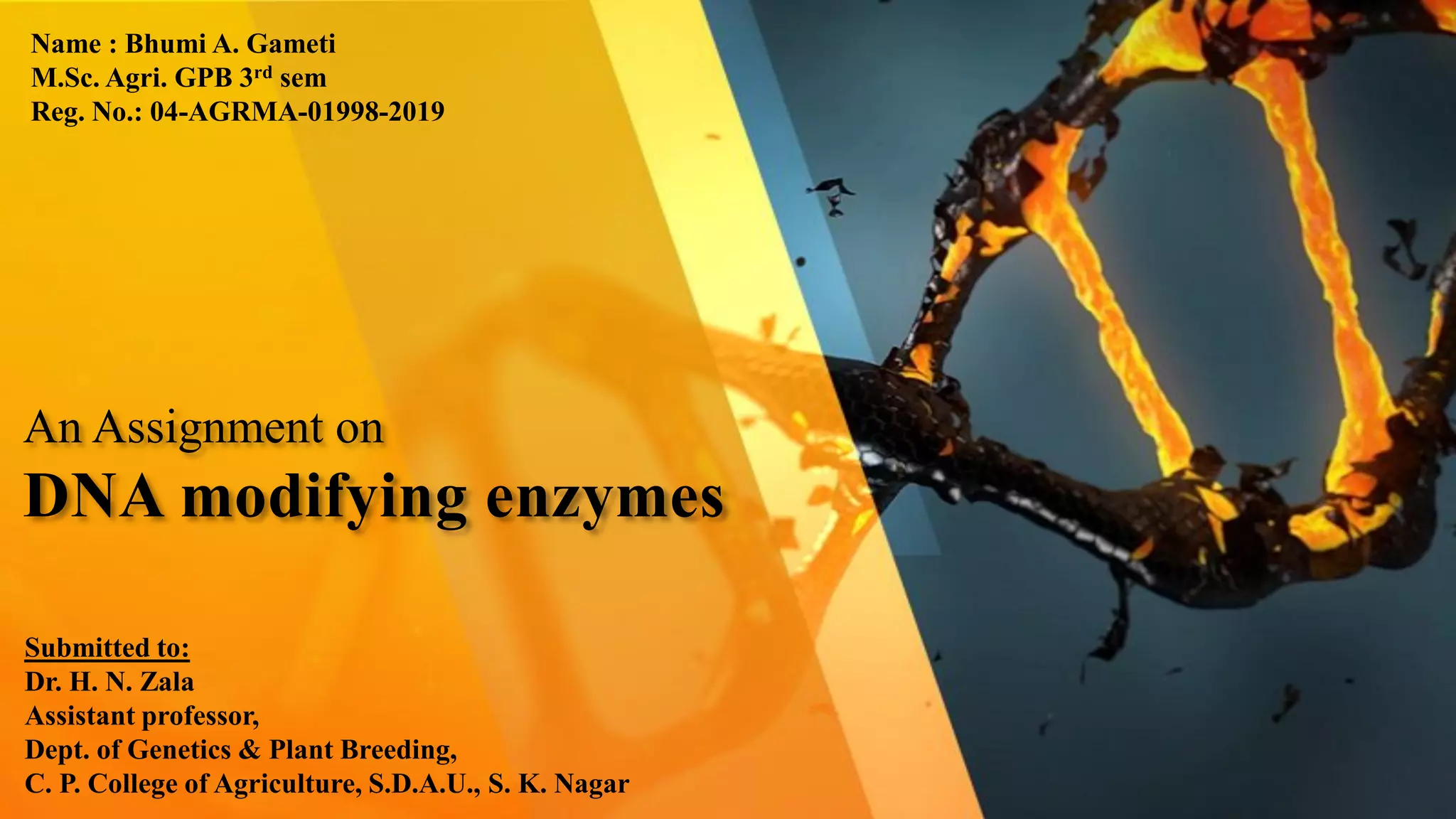 Dna modifying enzymes | PDF