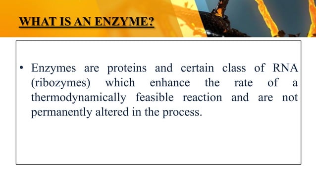 Dna modifying enzymes | PDF