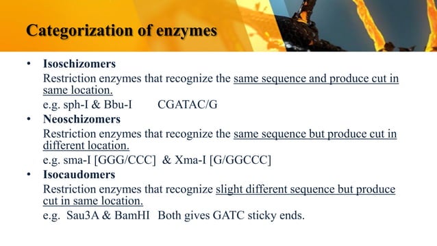 Dna modifying enzymes | PPT