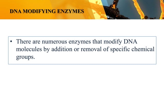 Dna modifying enzymes | PDF