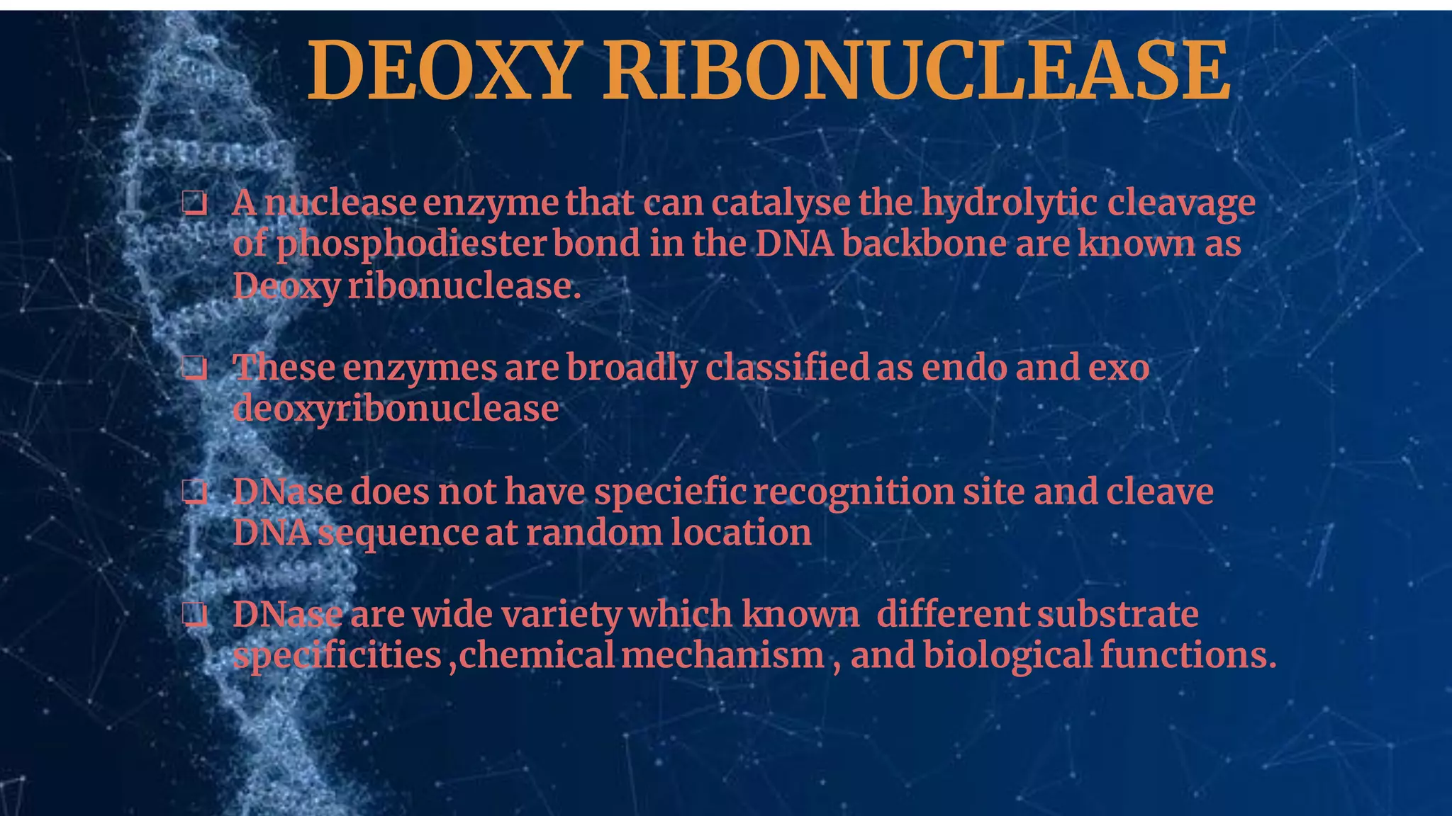 DNA modifying enzymes | PDF