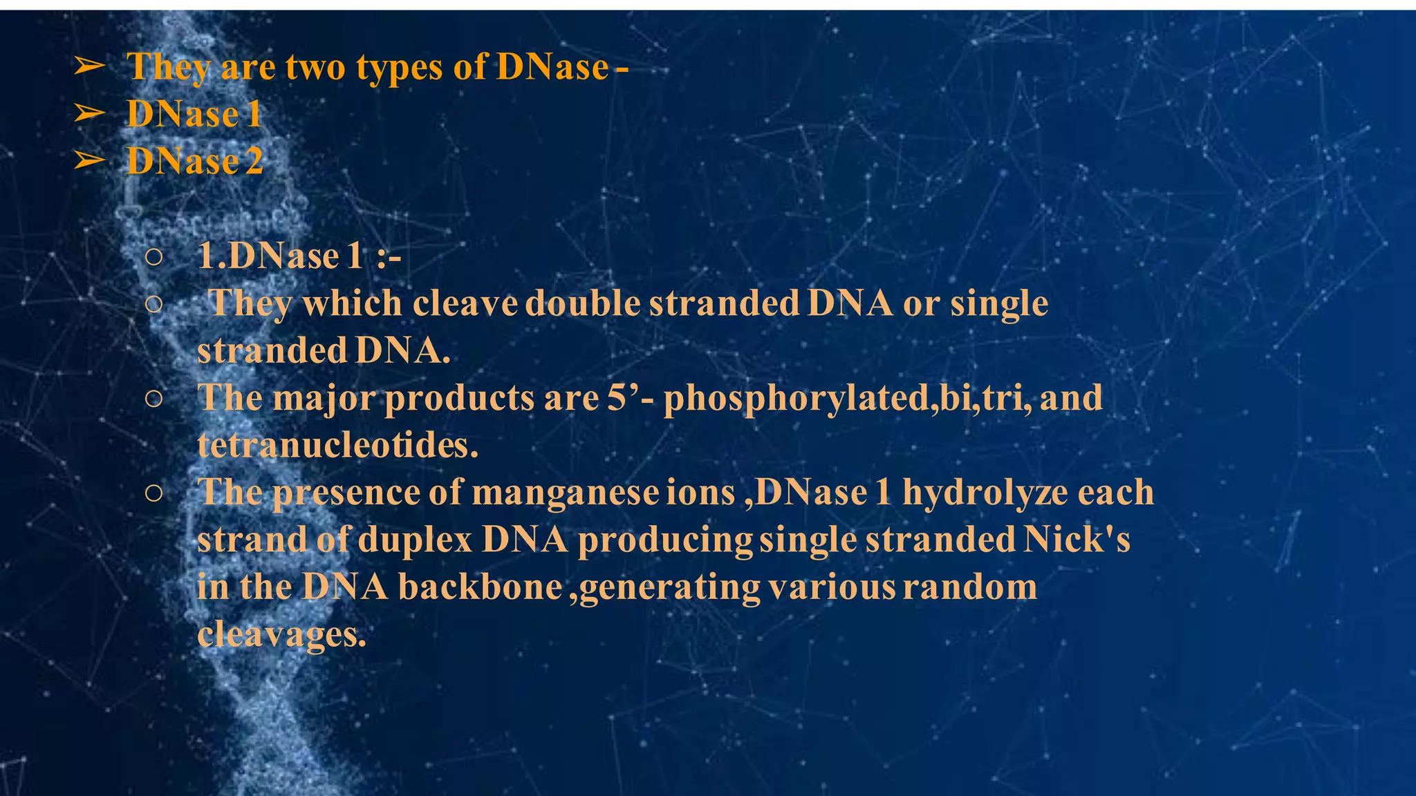DNA modifying enzymes | PDF