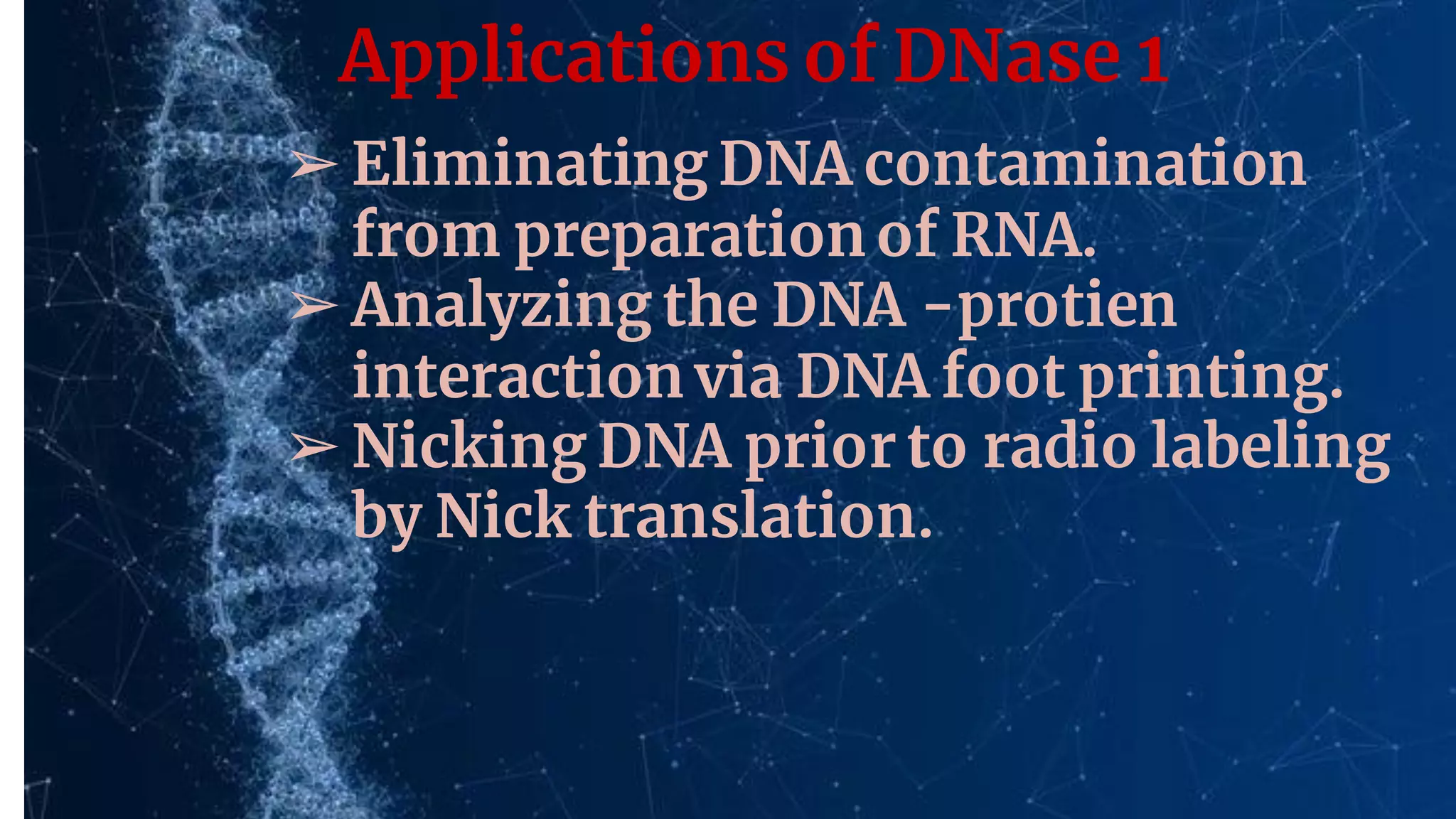 DNA modifying enzymes | PDF