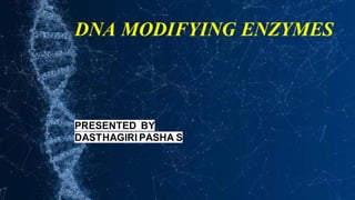 DNA modifying enzymes | PDF