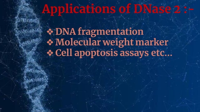 DNA modifying enzymes | PDF | Chemistry | Science