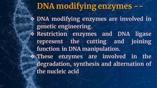 DNA modifying enzymes | PDF