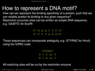 DNA Motif Finding 2010 | PPT
