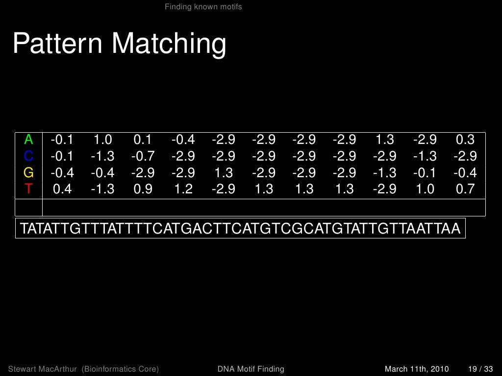 Dna Motif Finding 2010