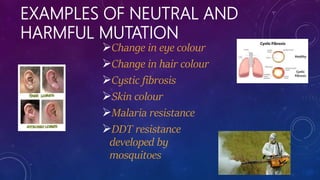 Dna mutation | PPT