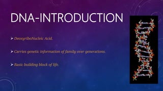 Dna mutation | PPT