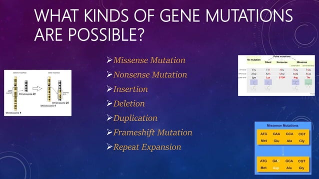 Dna mutation | PPT