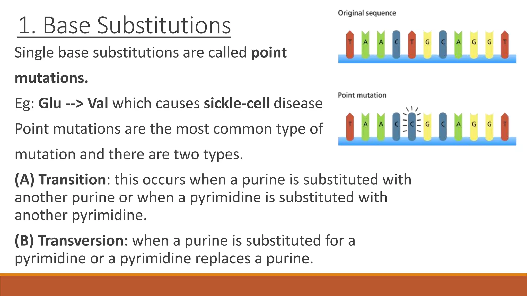 DNA Mutation and its Repair | PPTX