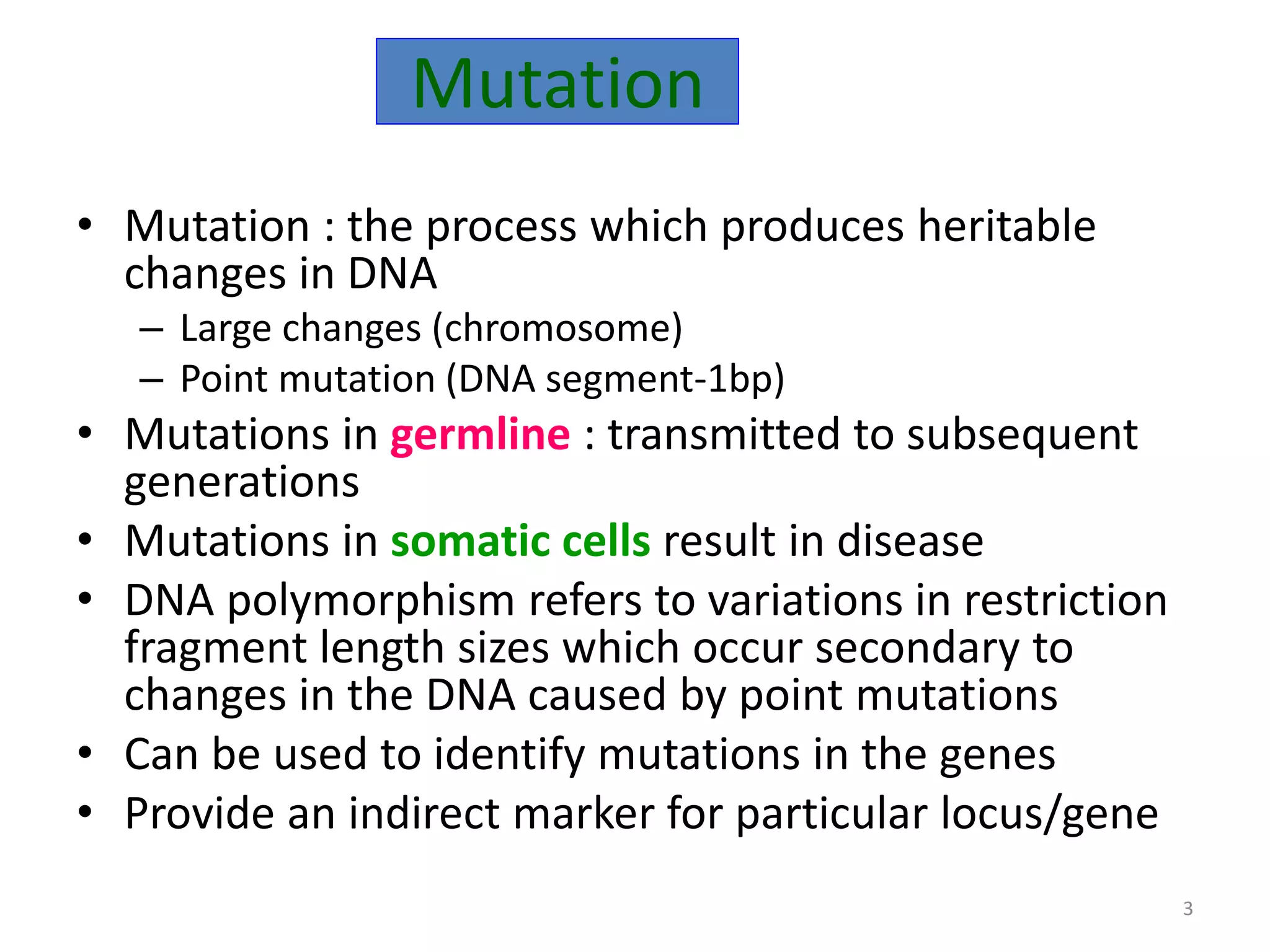 DNA mutation.pptx