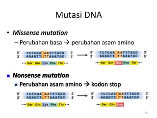 DNA mutation.pptx
