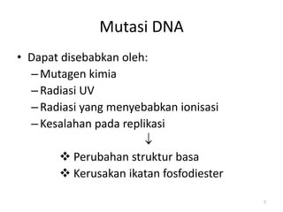 DNA mutation.pptx