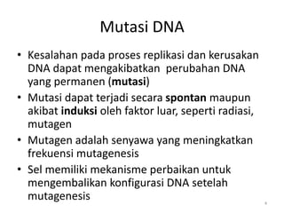 DNA mutation.pptx