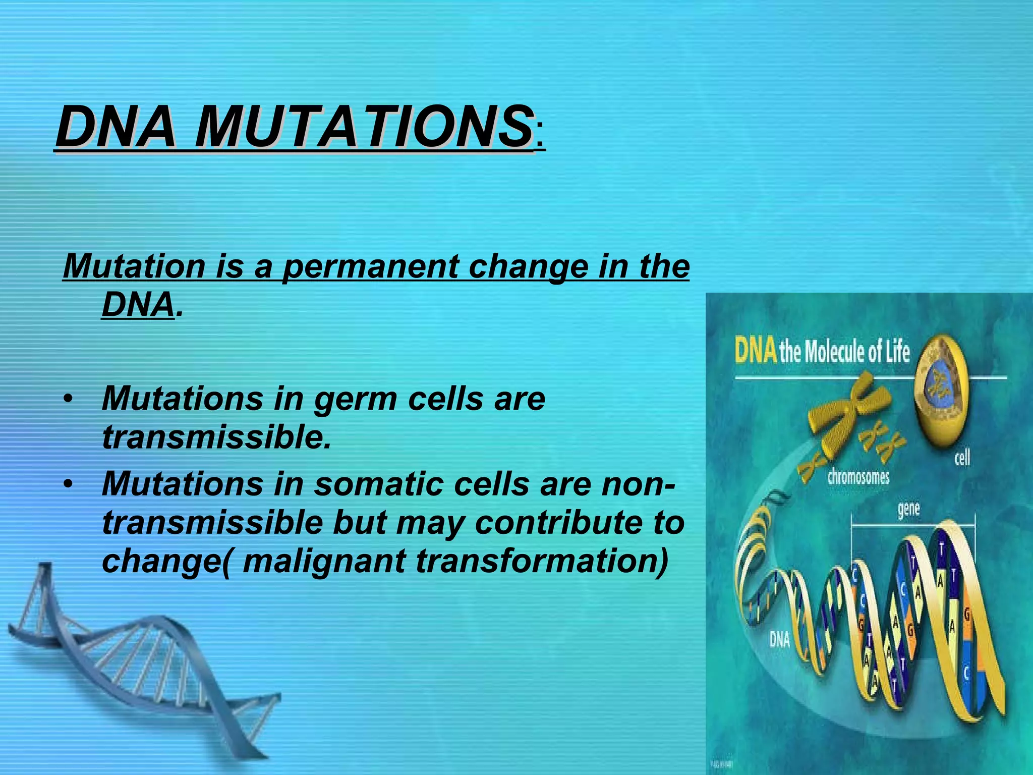 Dna Mutations | PPT