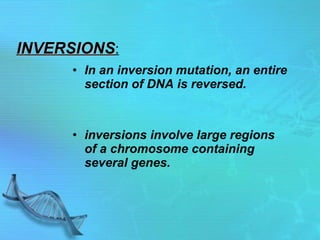 Dna Mutations | PPT