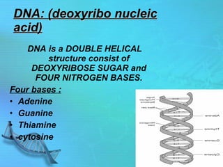 Dna Mutations | PPT