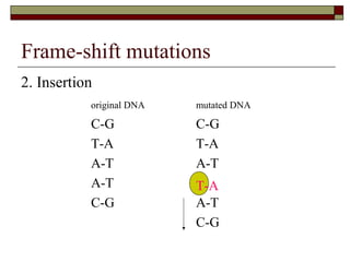 Dna mutations | PPT