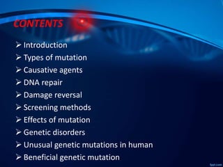 Dna mutation | PPTX