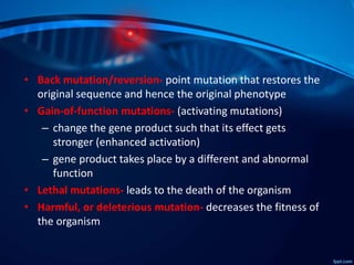 Dna mutation | PPTX