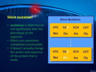 Dna mutation | PPTX