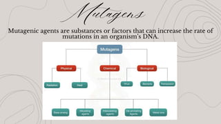 DNA Mutations and it's types and mutagens | PDF