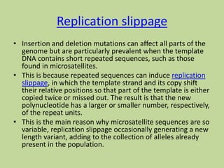 Dna mutations, recombination & repair | PPTX