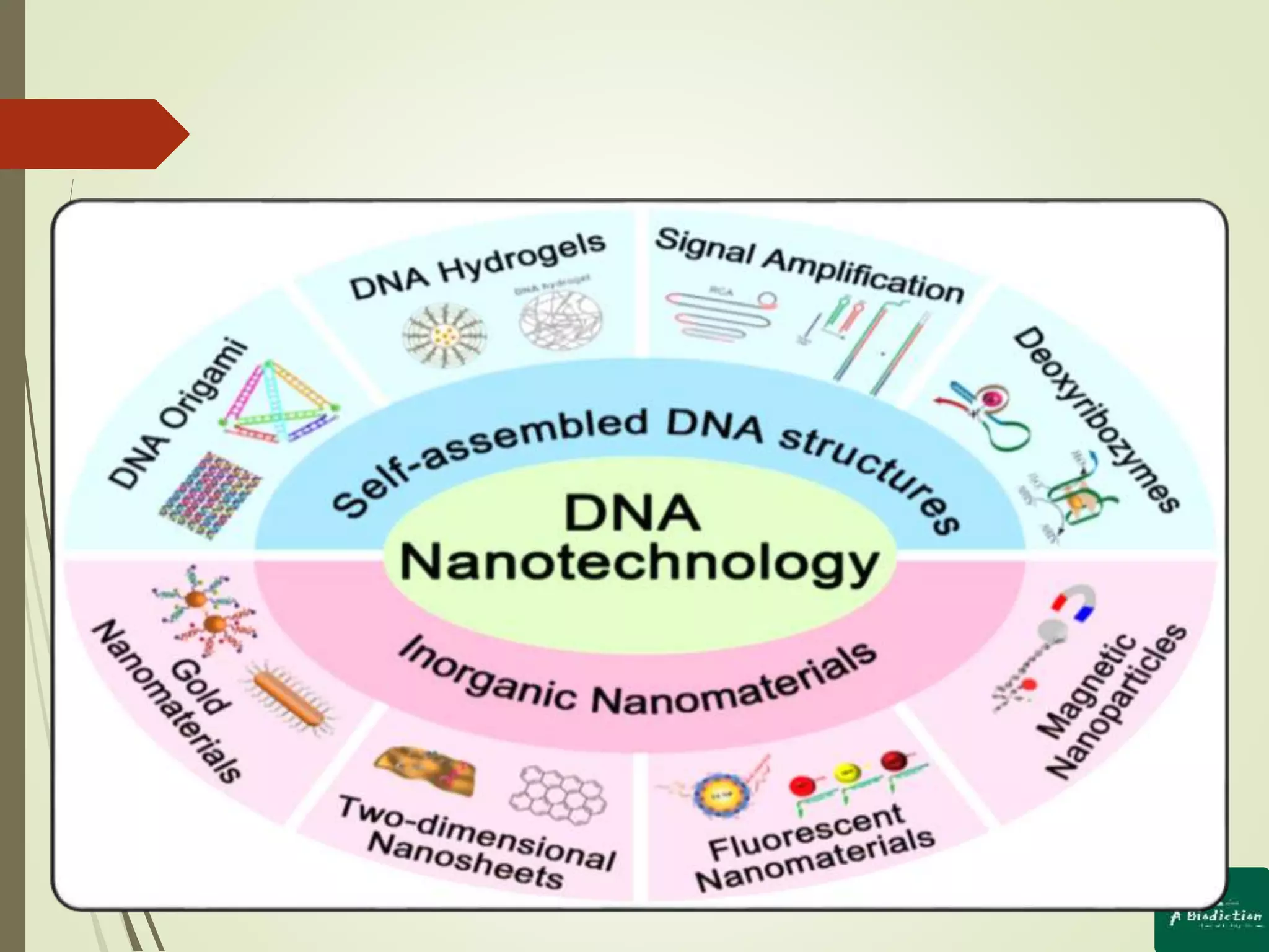 DNA Nanotechnology: Concept and its Applications | PPTX