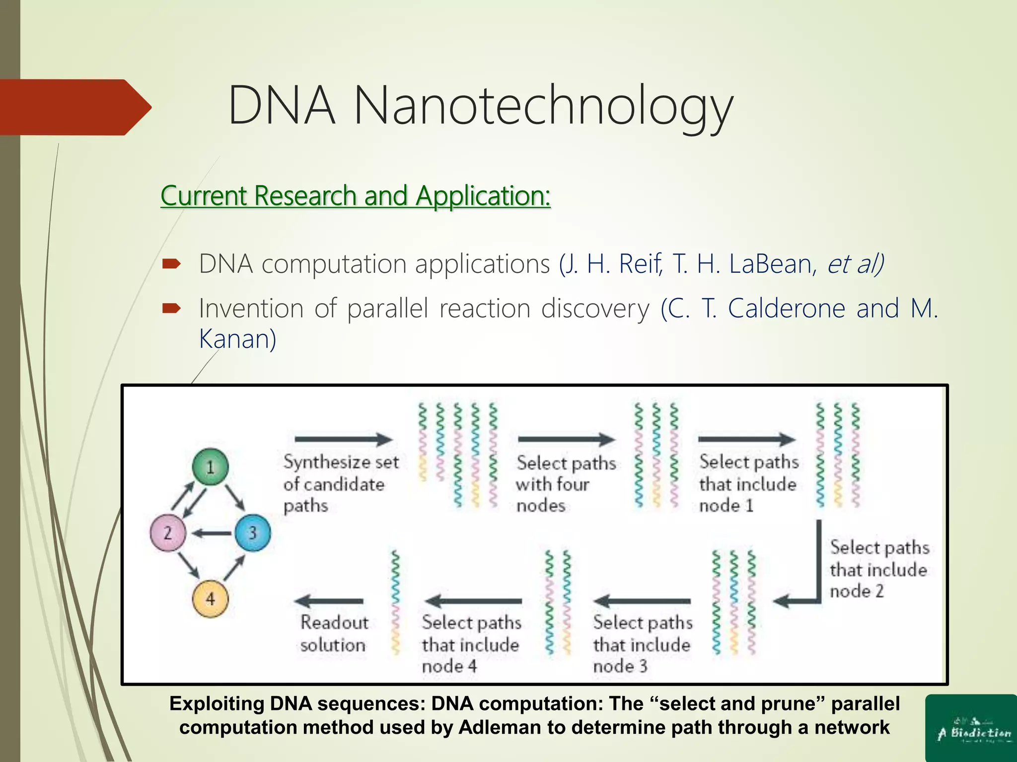 DNA Nanotechnology: Concept and its Applications | PPTX