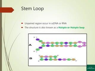 DNA Nanotechnology: Concept and its Applications | PPTX