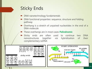 DNA Nanotechnology: Concept and its Applications | PPTX