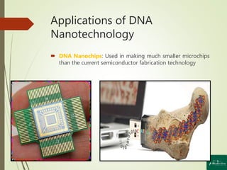 DNA Nanotechnology: Concept and its Applications | PPTX